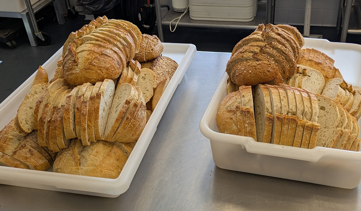 From Volunteer Shift to Company Gift: Urban Scientist Sparks $2,000 for ...